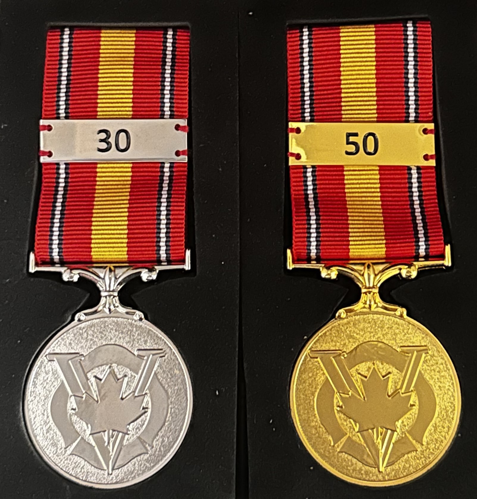 CVFSA MUNICIPAL LONG SERVICE AWARD ( 30 PLUS YEARS OF SERVICE ...